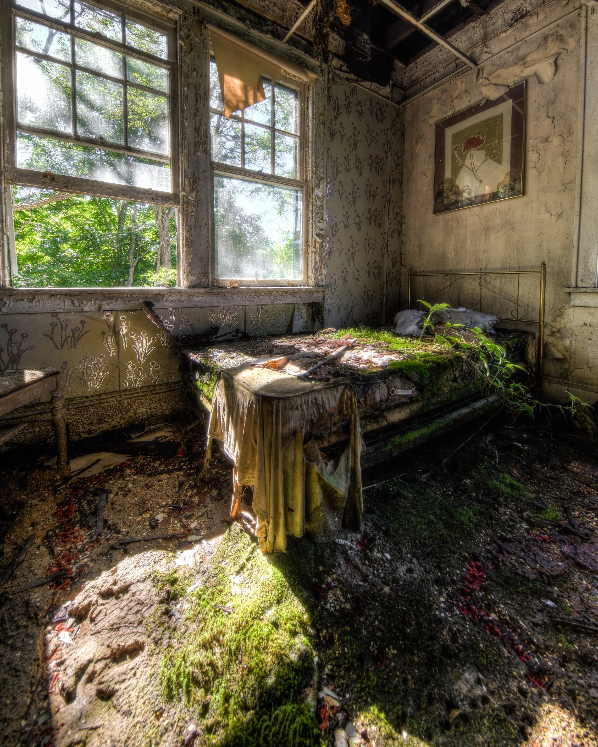 Abandoned Places Reclaimed by Nature — Ripe Arts