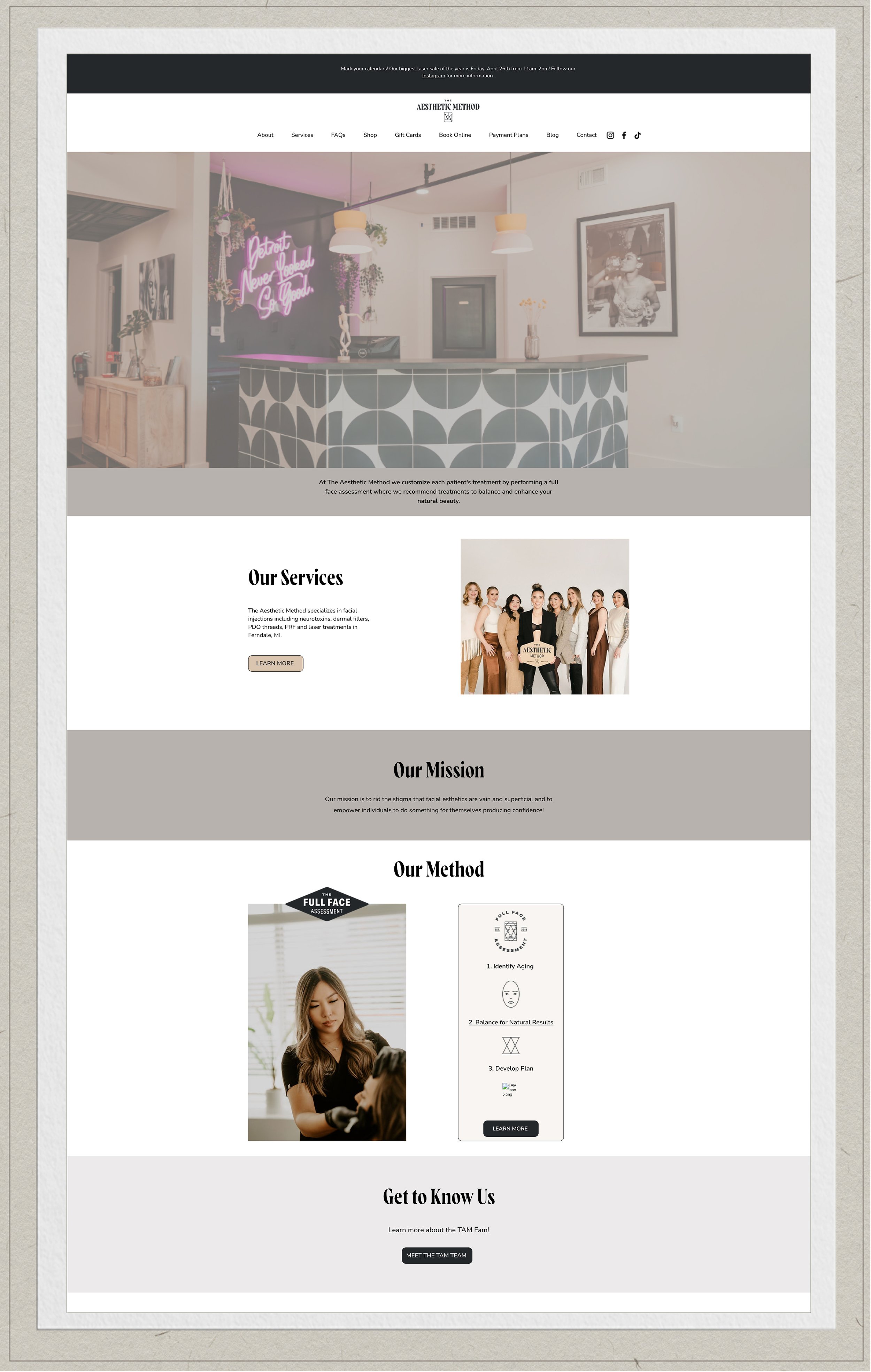 The Aesthetic Method — Meg Leonard Co. | Brand & Website Design Studio In Annapolis, Maryland