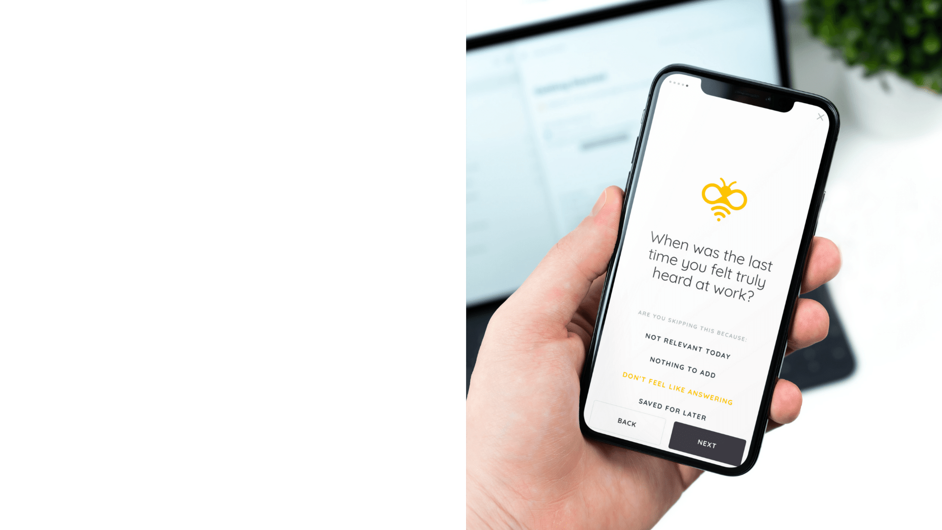 WHAT WE DO — Sigbee