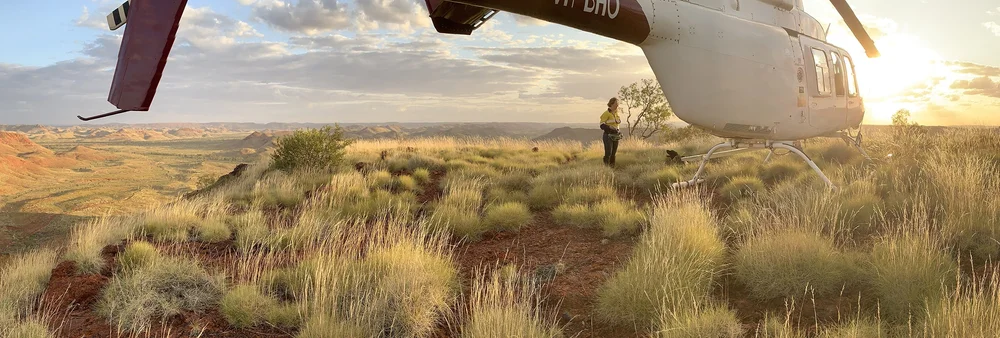 Detection for Good | Highly Trained Detection Dog Teams for ...