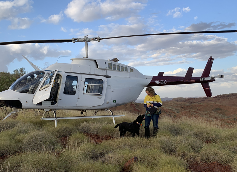 Detection for Good | Highly Trained Detection Dog Teams for ...
