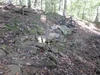 Brown County Mountain Biking Trails — Brown County Mountain Biking