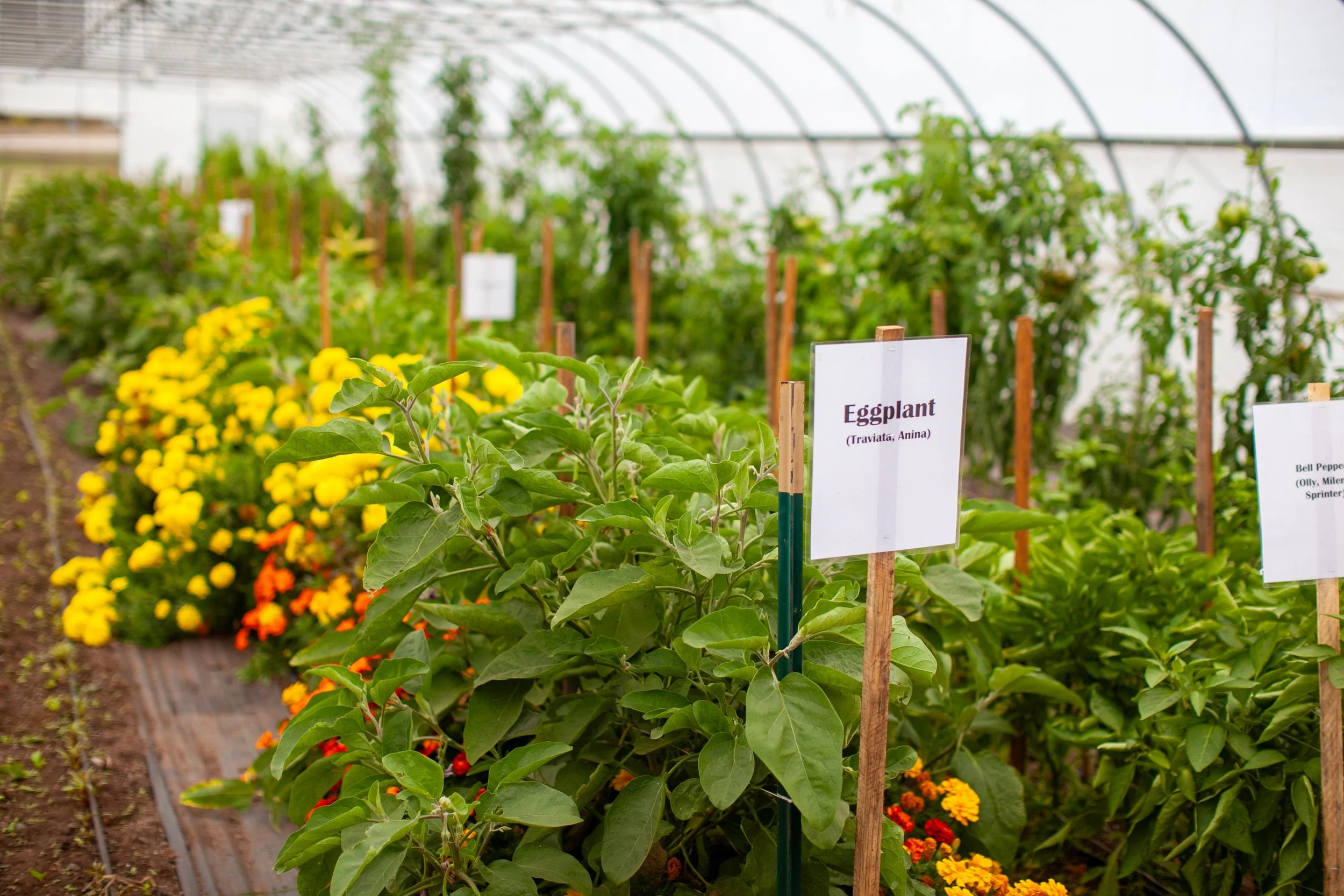 About — NanBop Farm