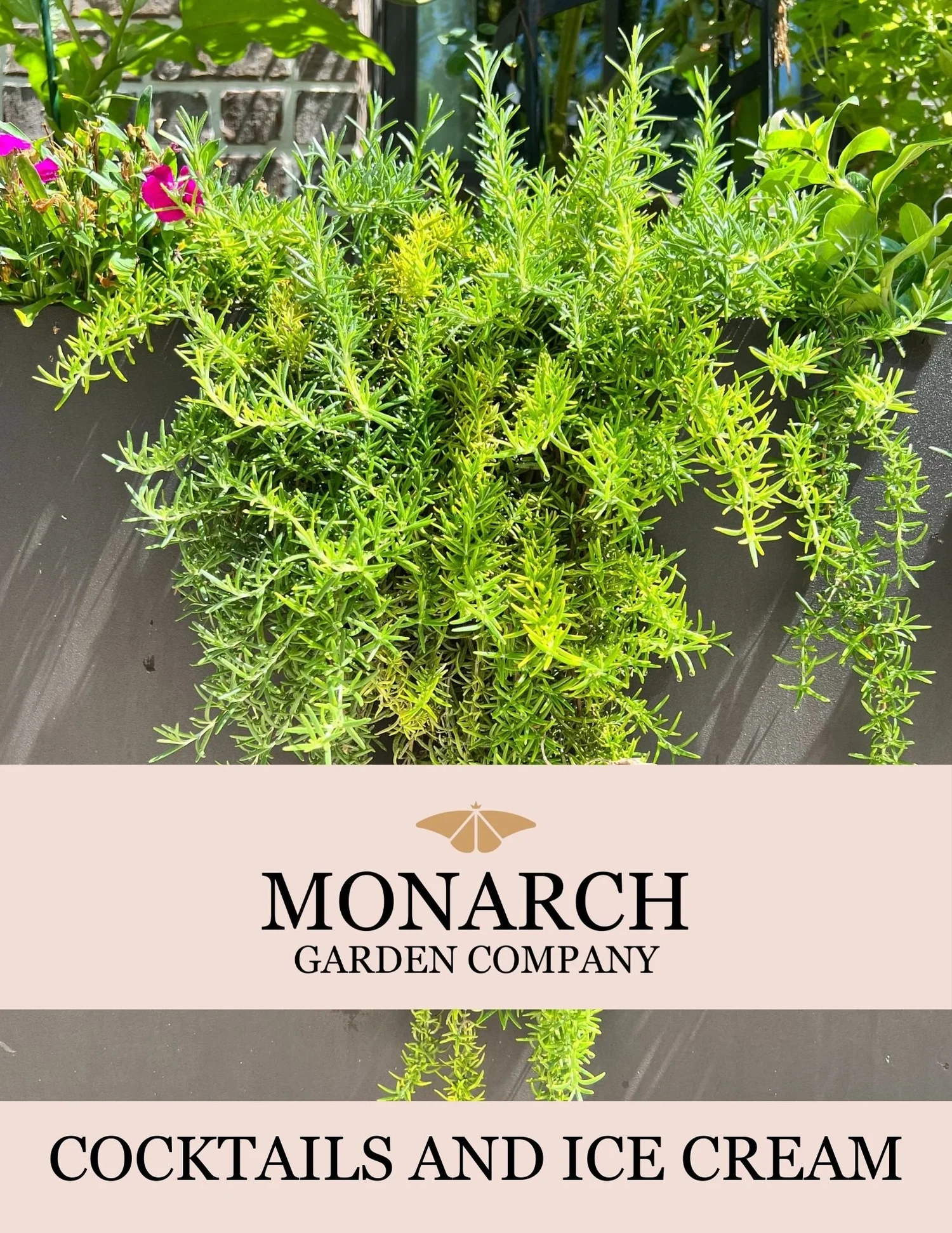 Herb Infused Cocktails and Ice Cream Recipes — monarch garden company