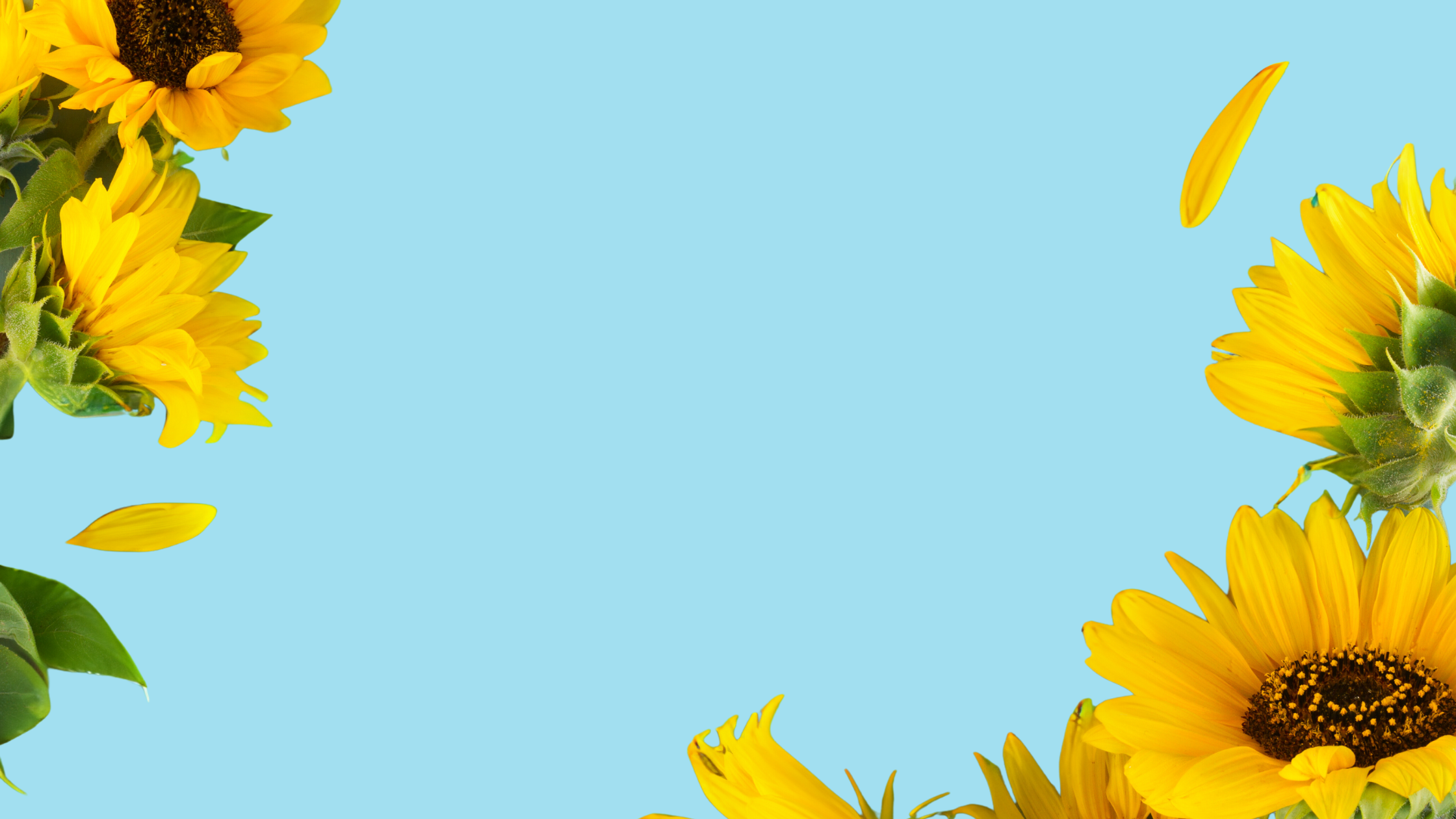 Authentically Me Occupational Therapy