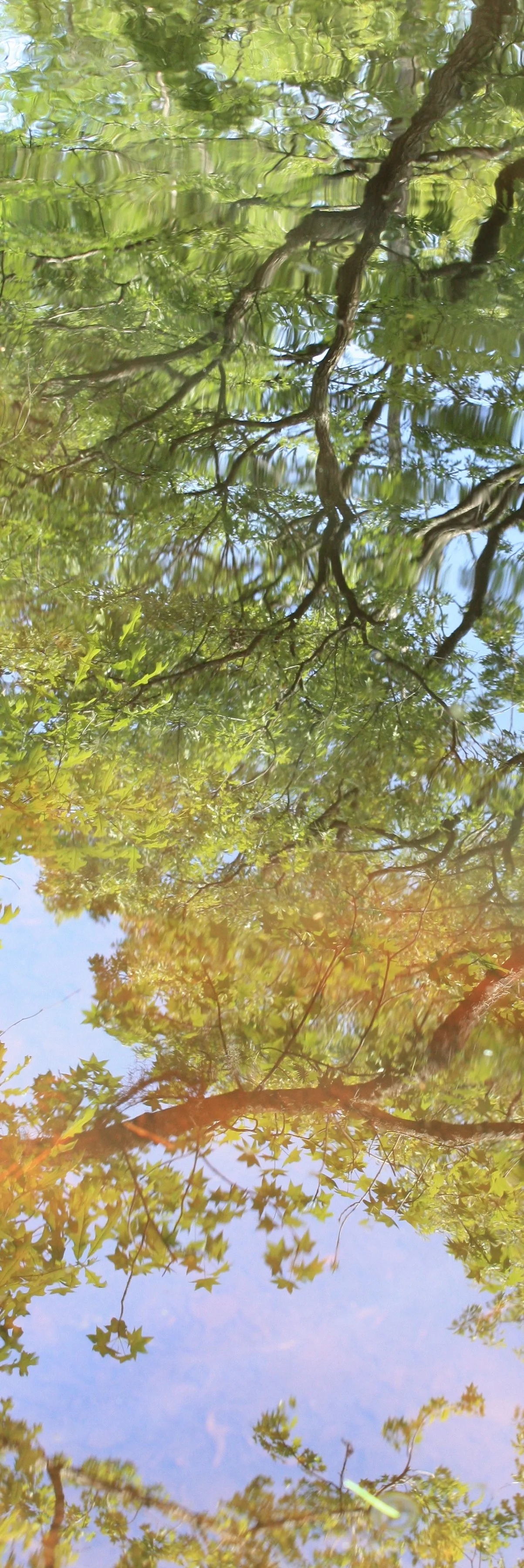 Seven Directions Art — Tirzah Villegas