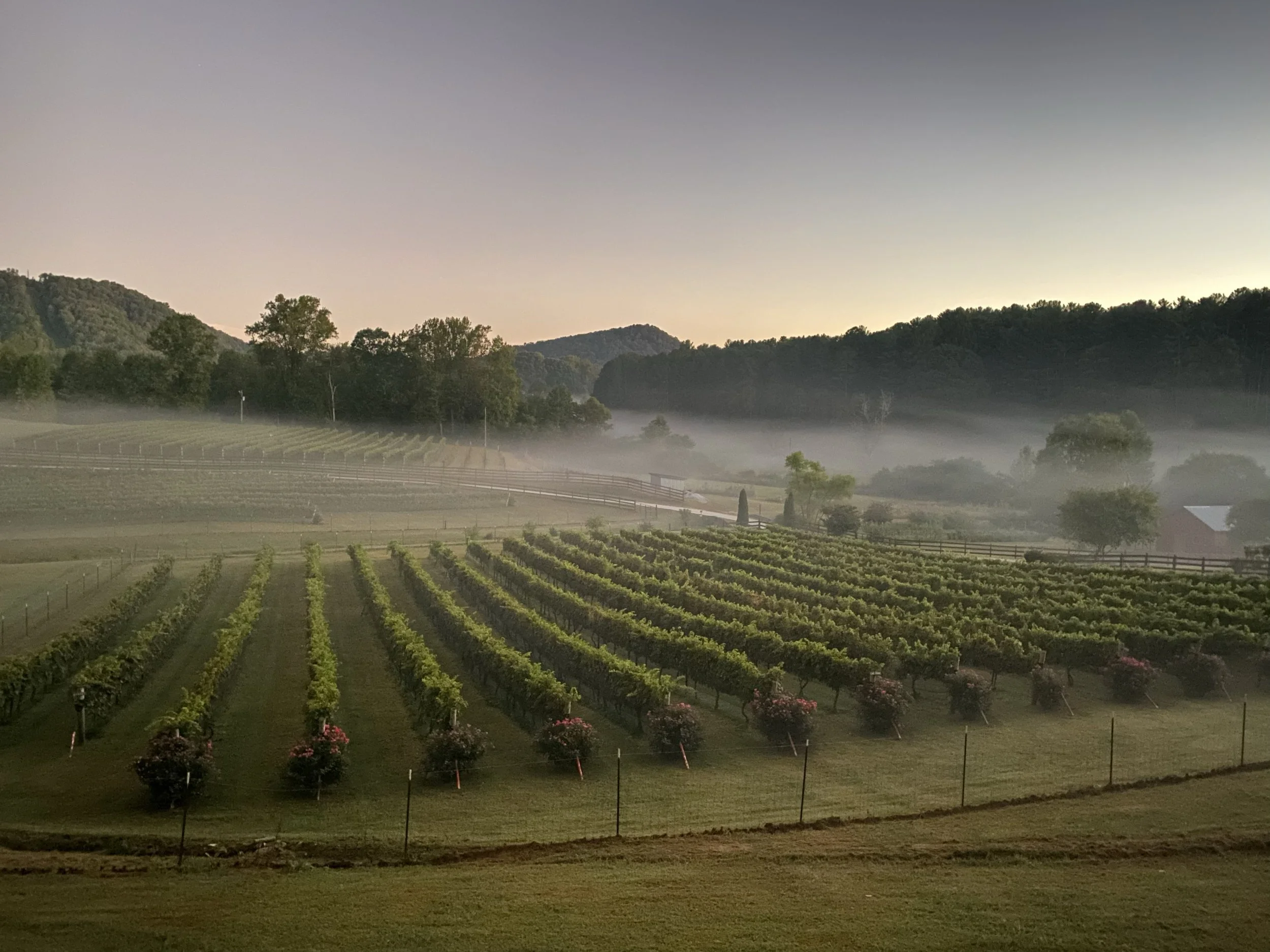 HISTORY — Stonewall Creek Vineyards