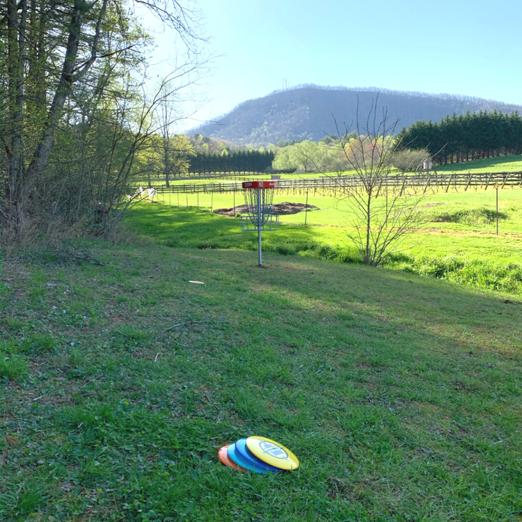 ACTIVITIES AT THE VINEYARD — Stonewall Creek Vineyards