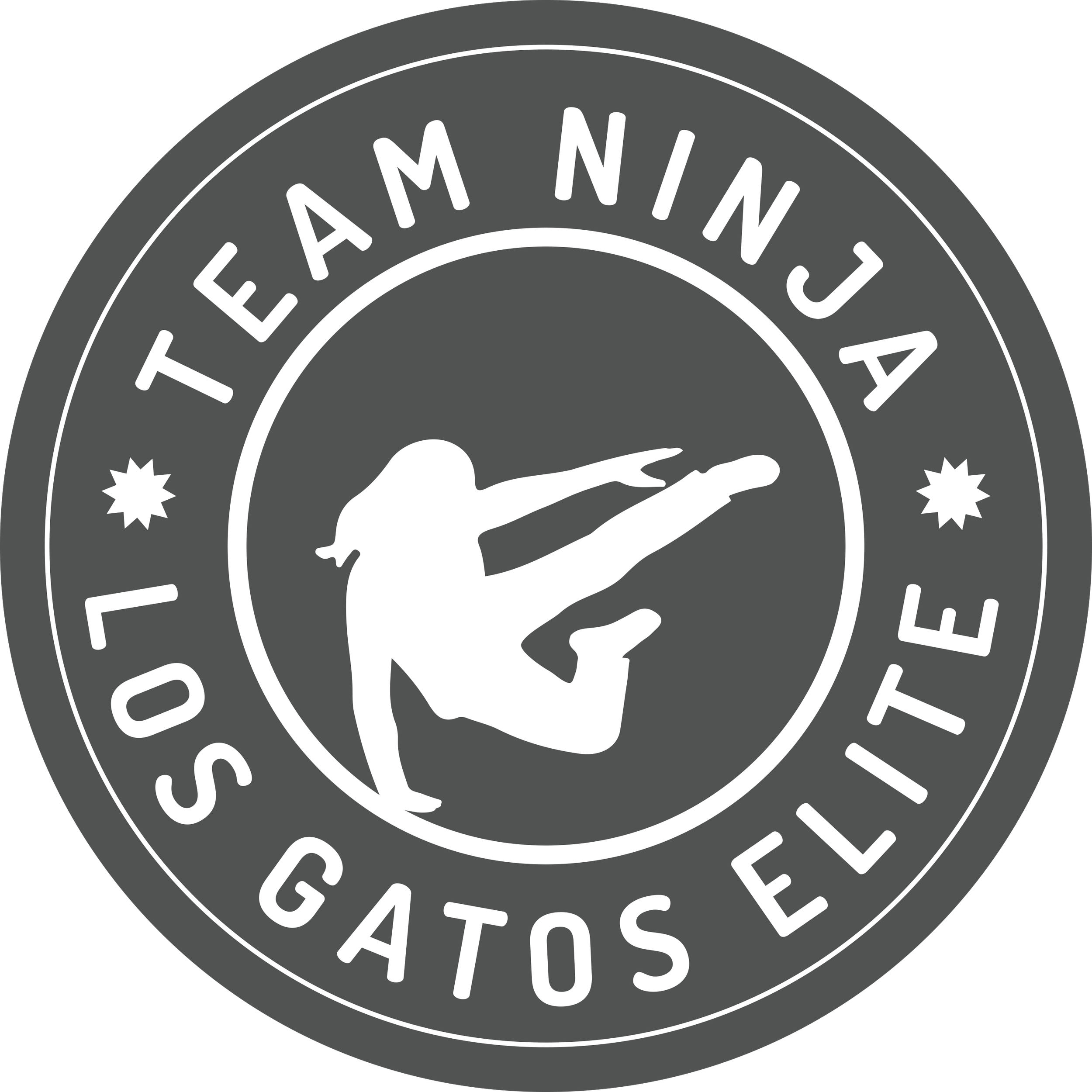 Ninja Zone — Los Gatos Elite - Gymnastics, Athletics, Dance, and more