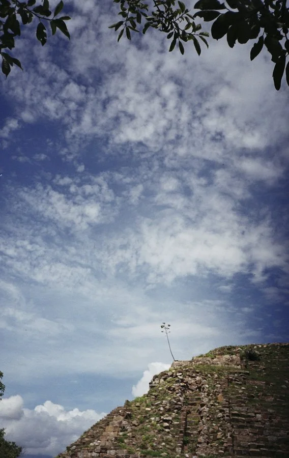 Film — Luvia Lazo