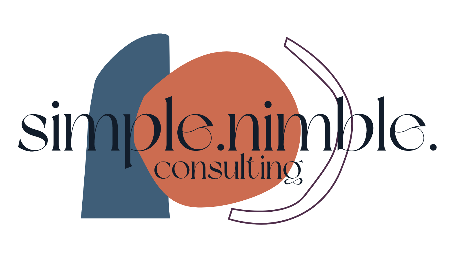 Simple Nimble consulting