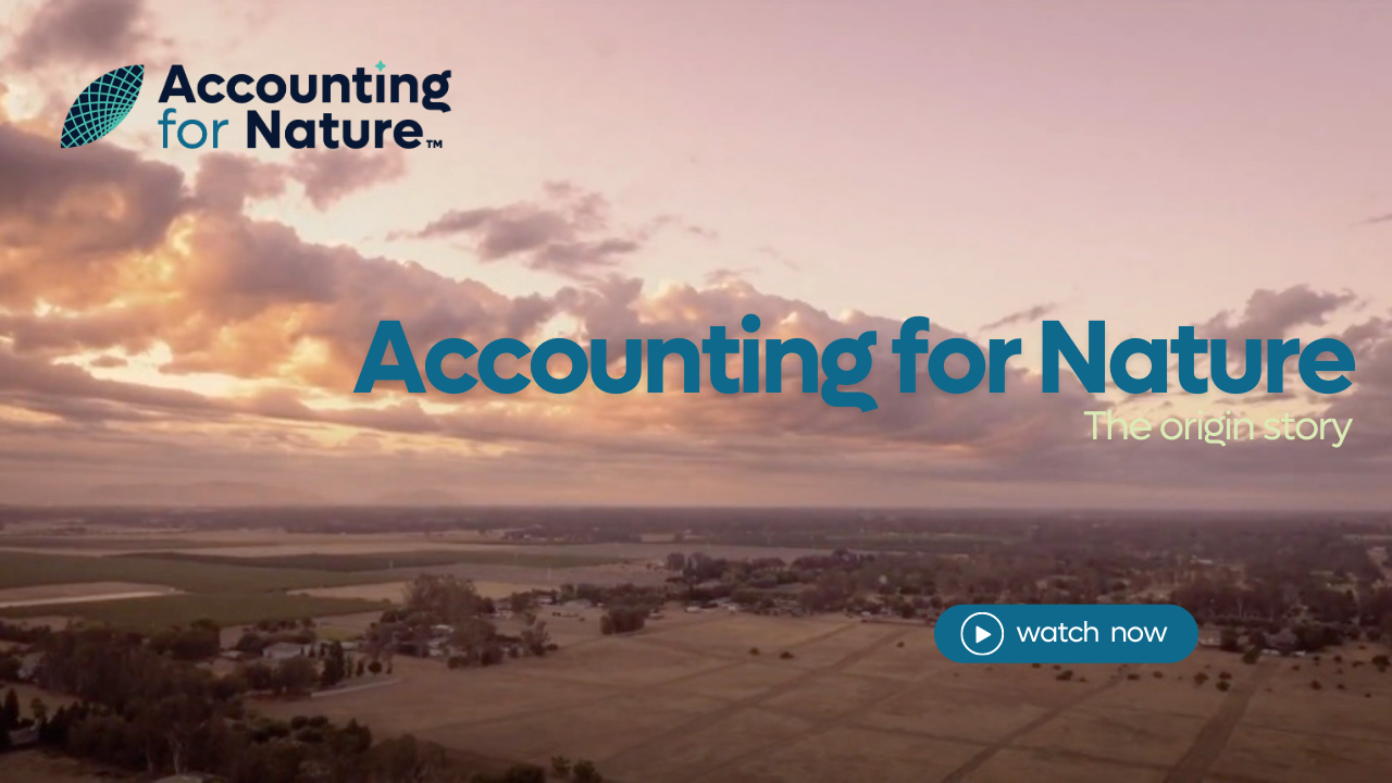 Who we are — Accounting for Nature