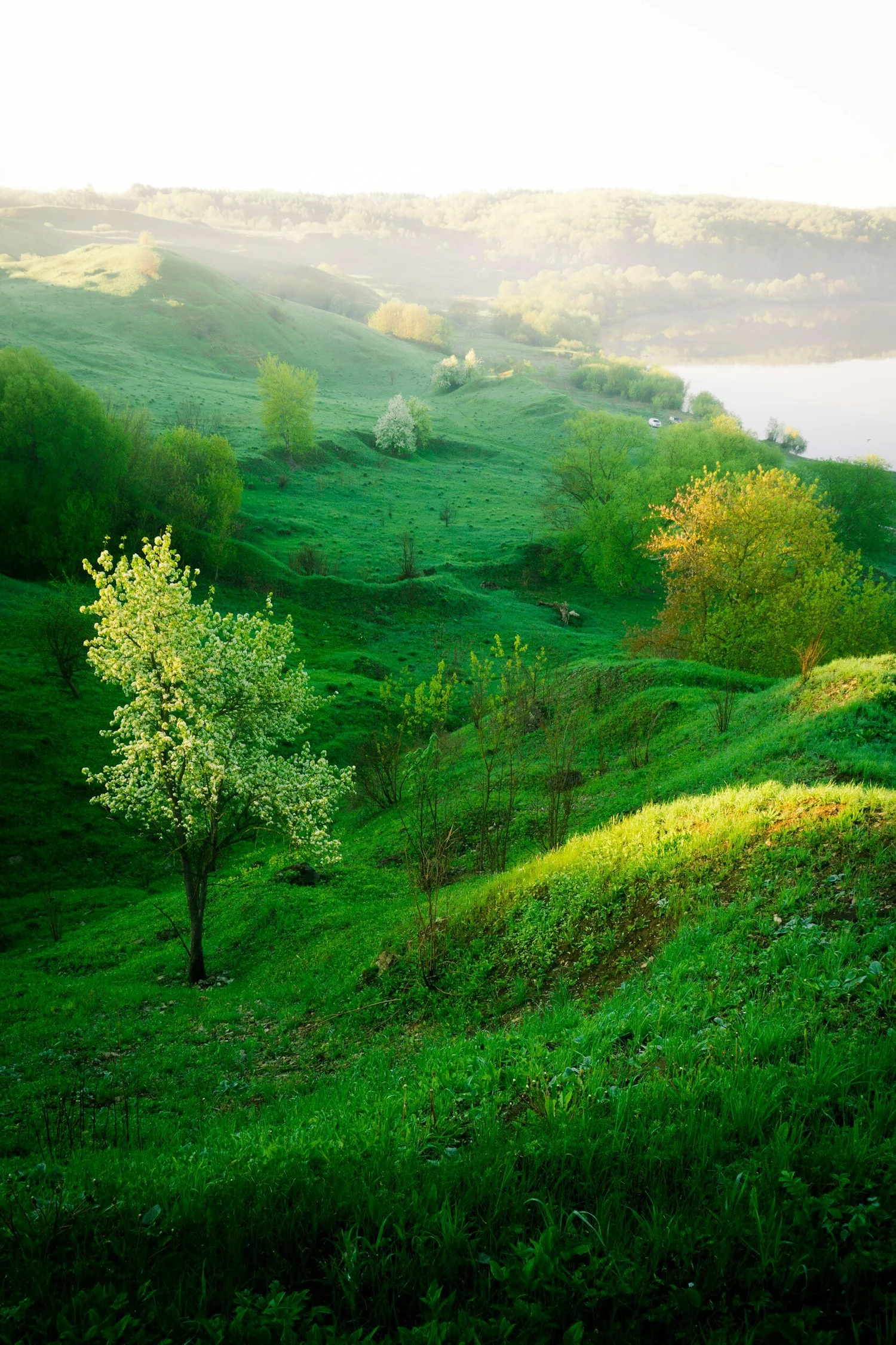 Features | Explore Key Features of Environmental Accounting ...