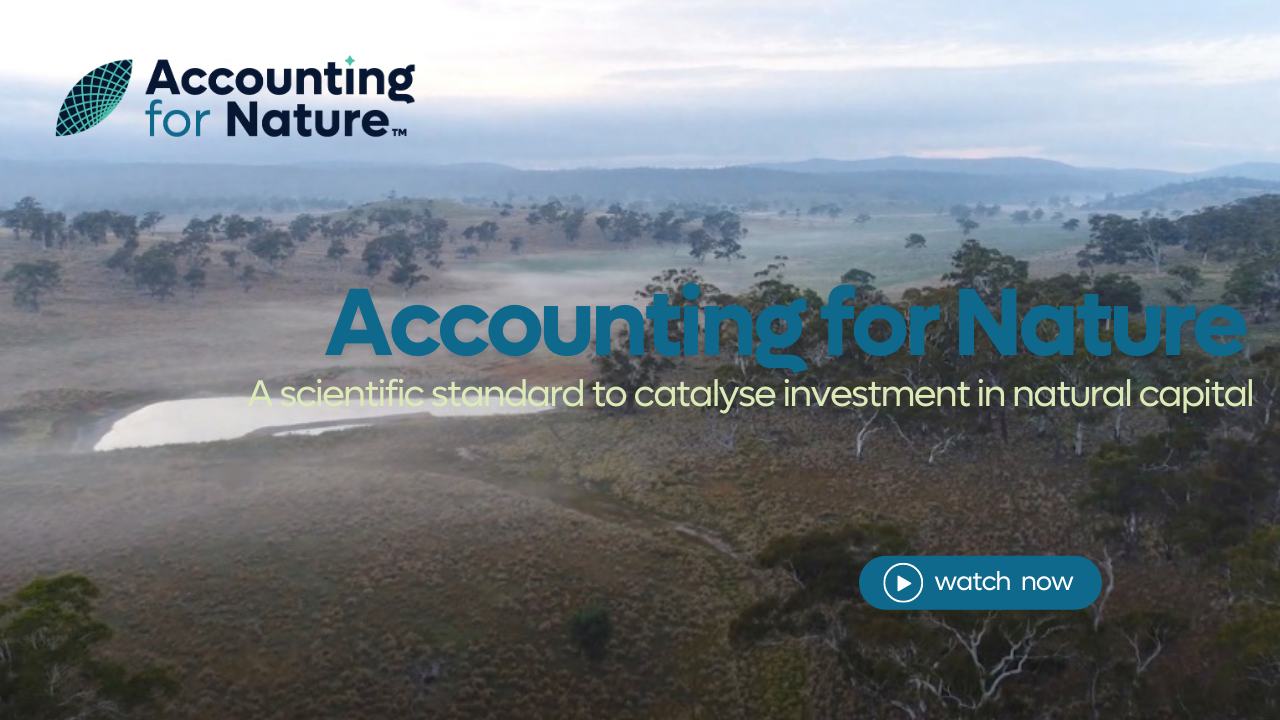 Accounting for Nature