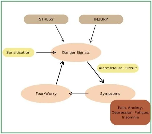 What is pain reprocessing therapy? | Papaya Clinic