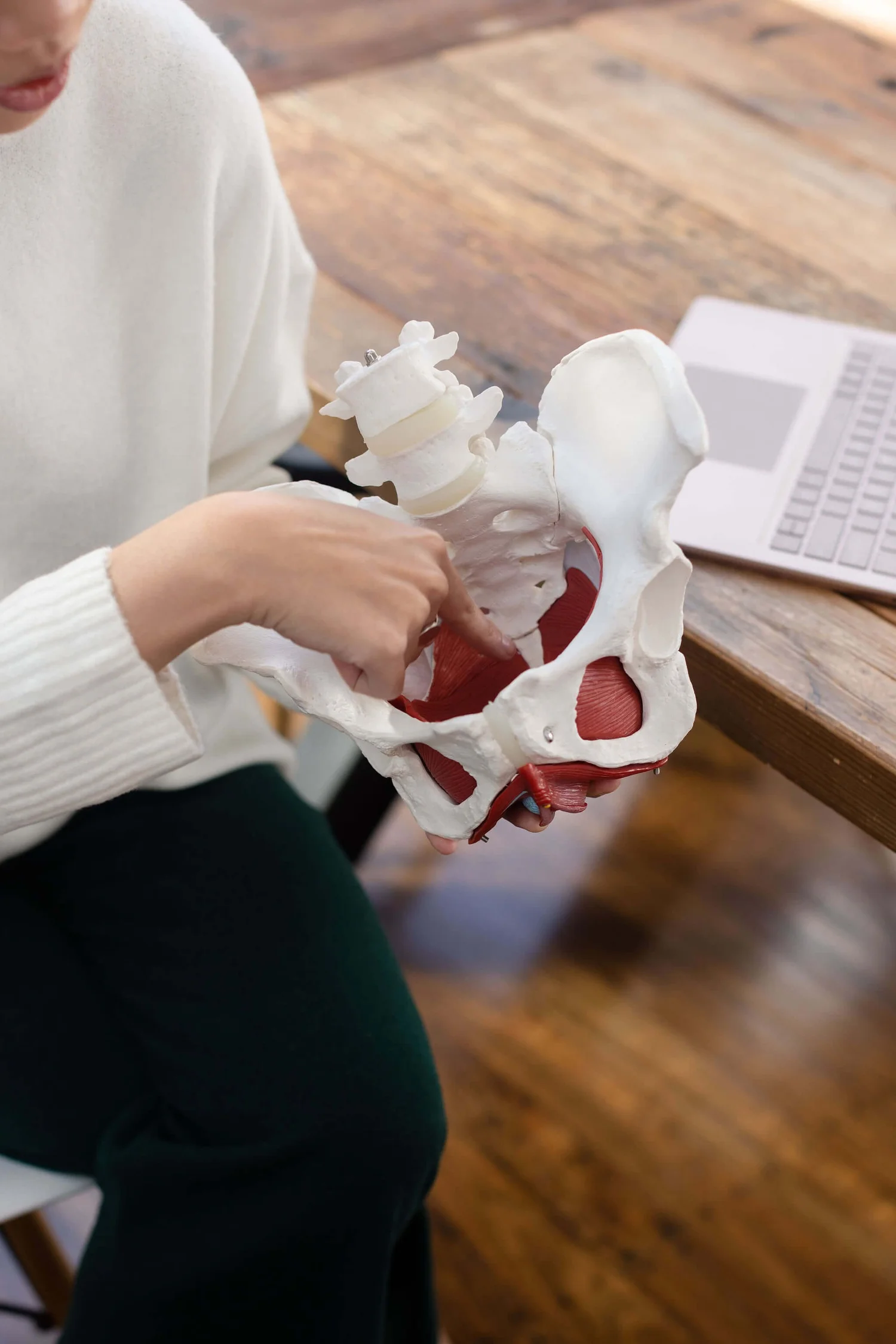 Pelvic Floor Physiotherapy in Sydney | Women’s Pelvic Health ...