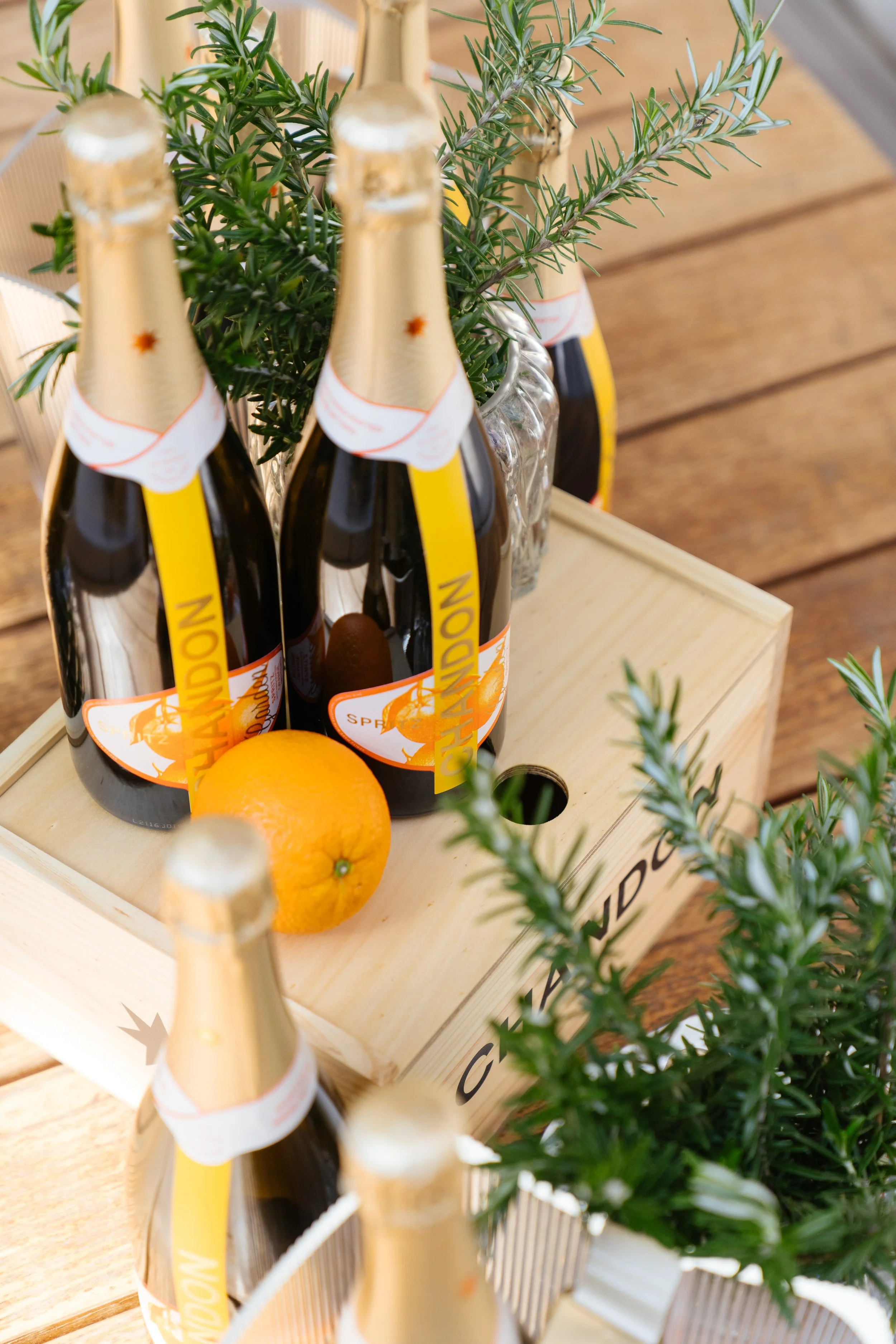 Our Portfolio | Design Merchants — Design Merchants