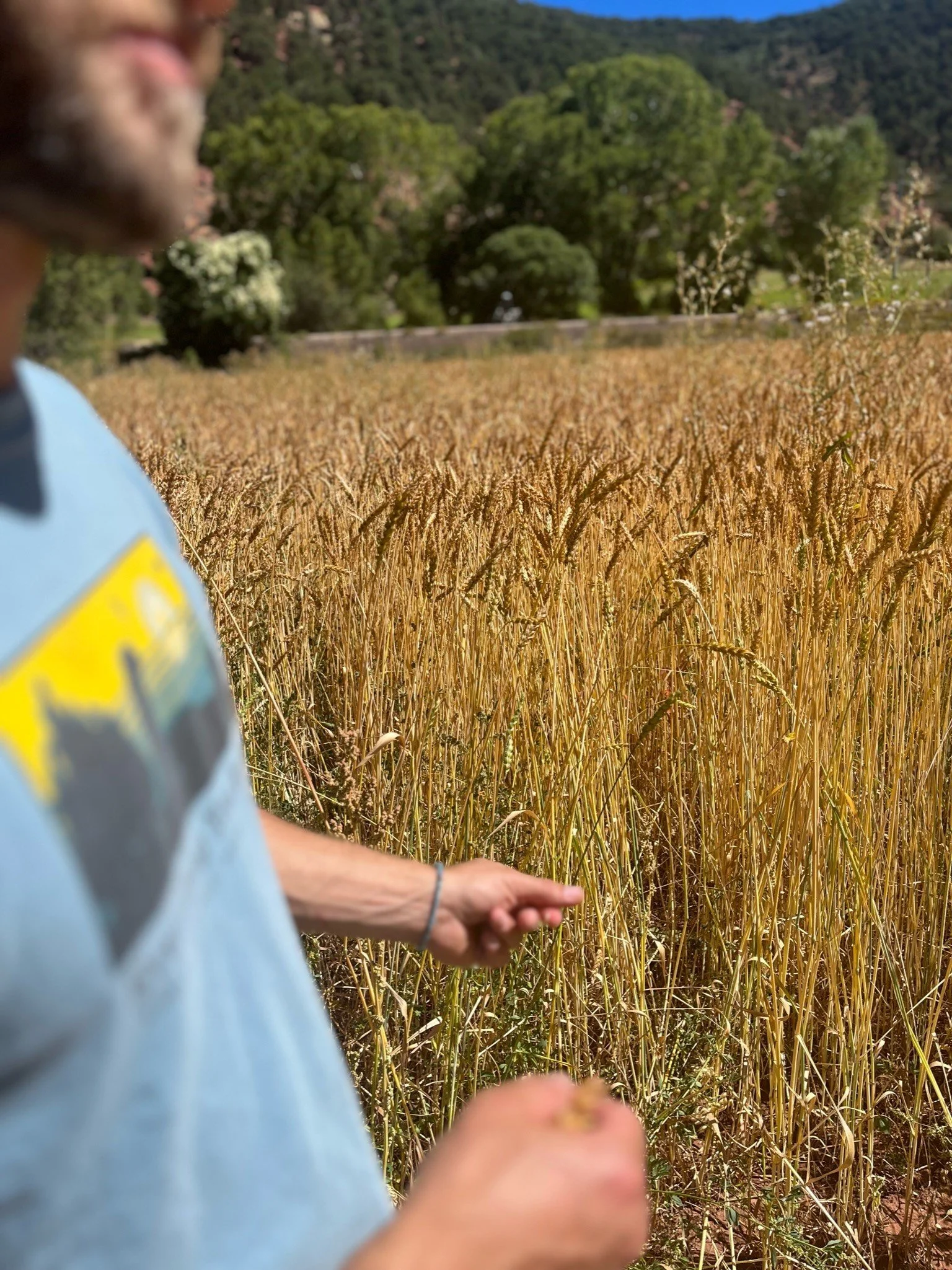 Our Story — Roaring Fork Mill