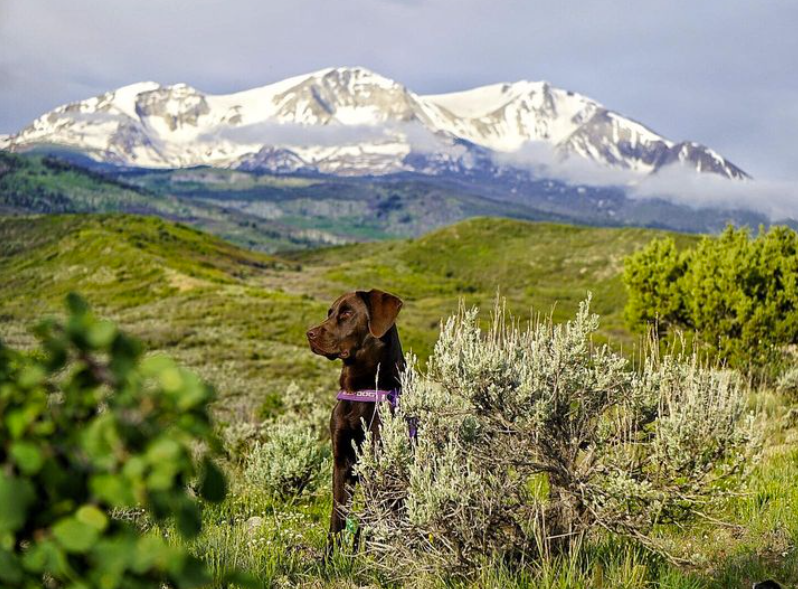 Our Story — Roaring Fork Mill