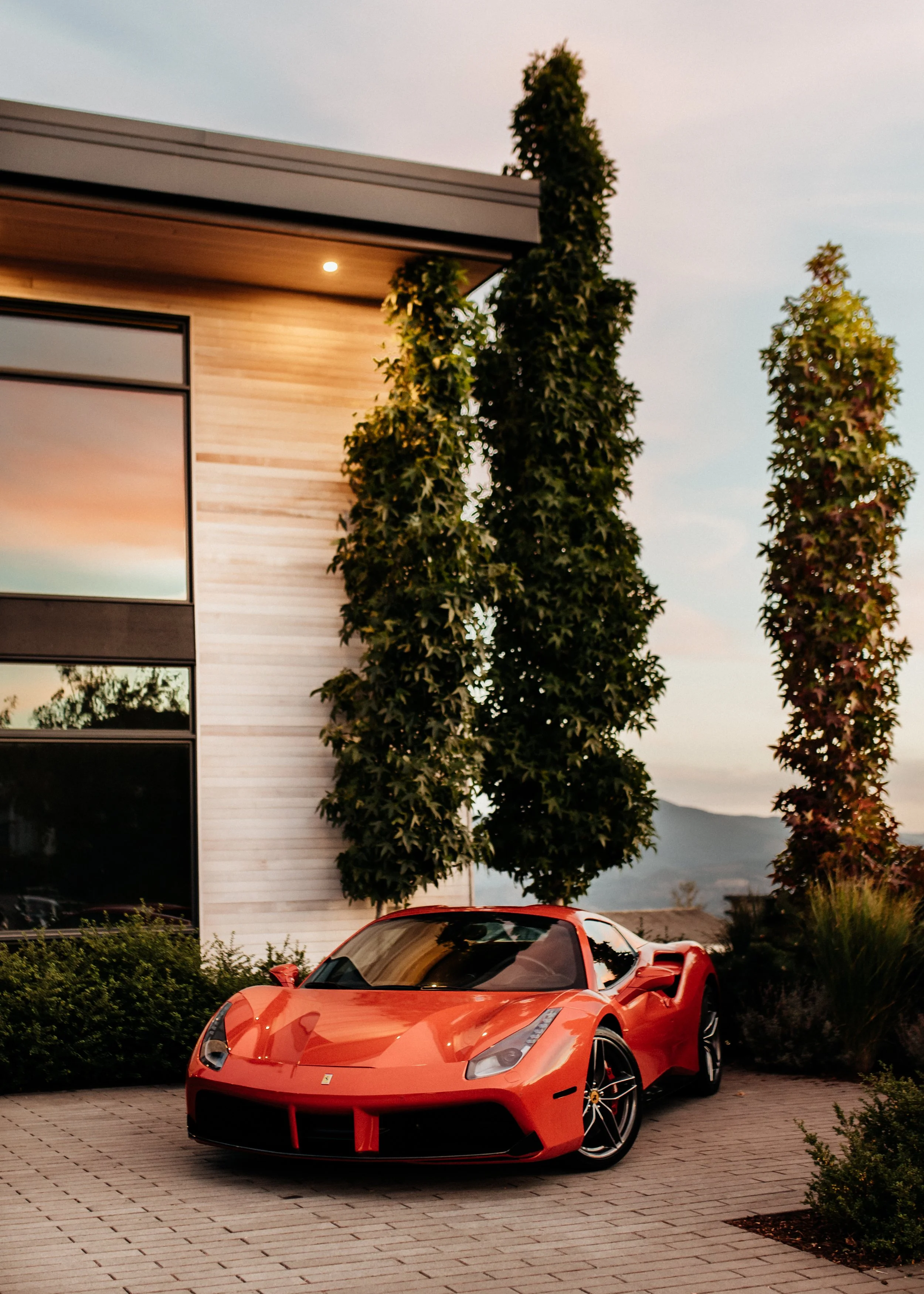 Treeline Visuals | Commercial Videography & Photography Services