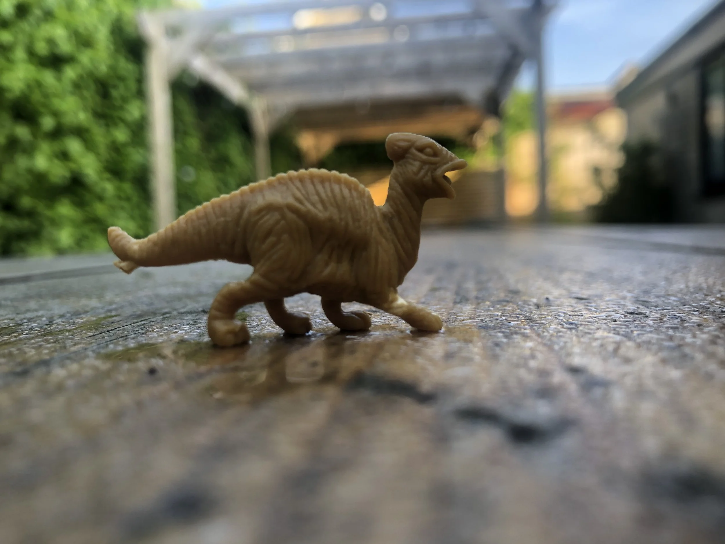 Helen Langdon Coaching- Life & Wellbeing Coach for mums