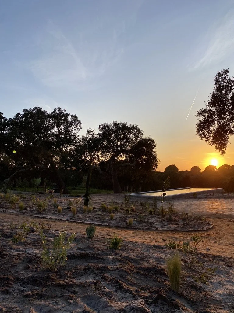 Projects — DOS Landscapes | Petra Ulrik & Miguel Ogando