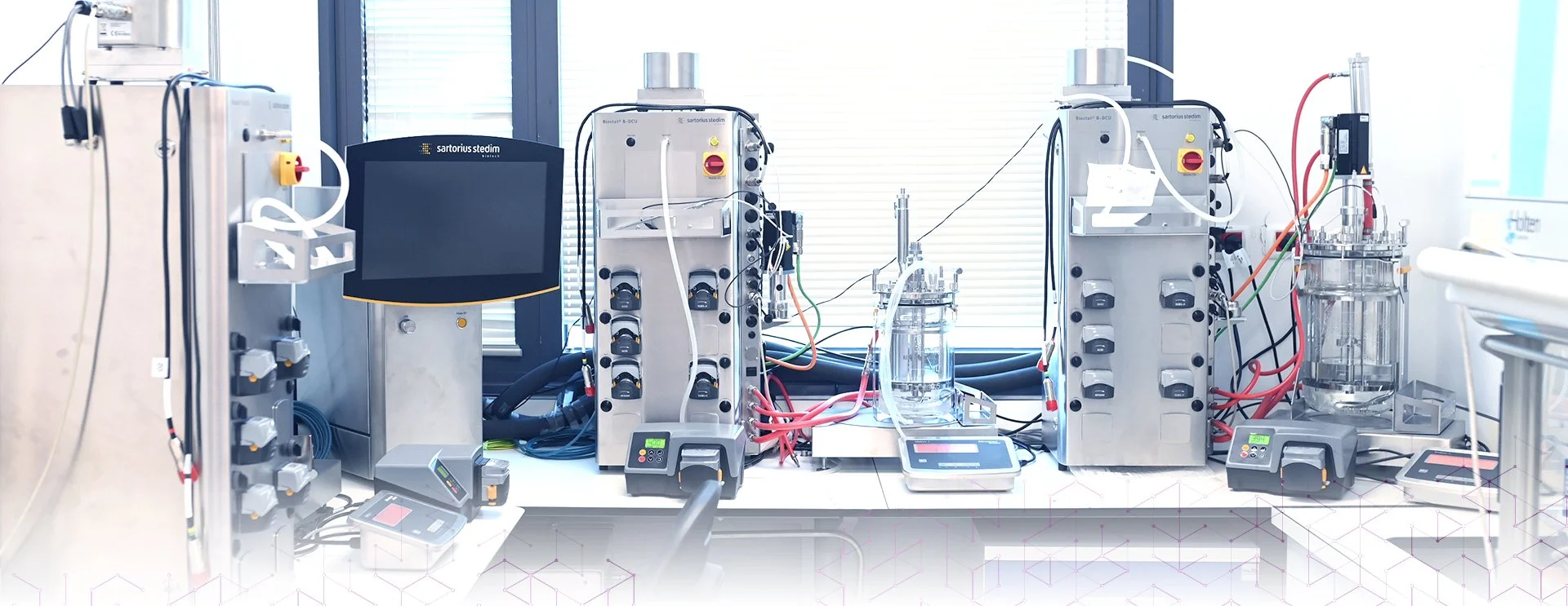 Process development & scale-up — Scinai