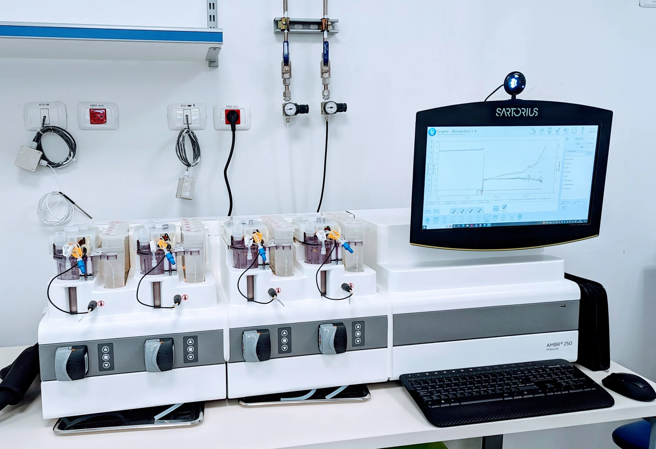 Boutique Biologics CDMO — Scinai