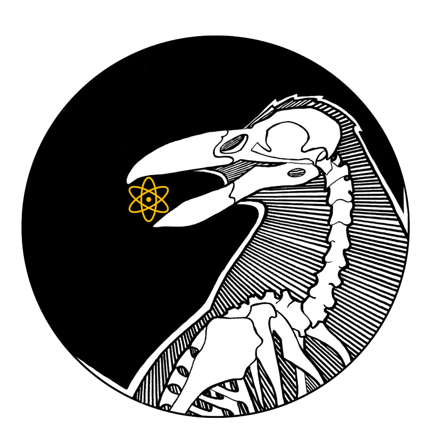 Login — Raven Radiology