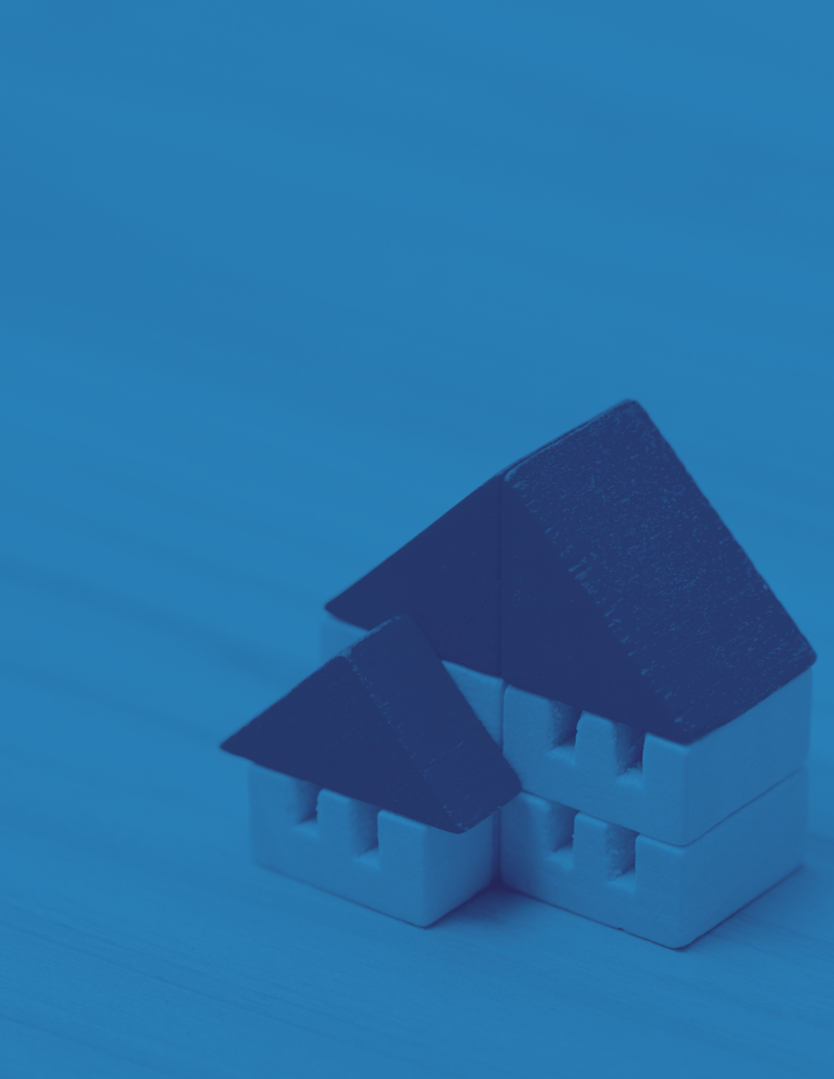 Case Management Program — Domestic Abuse Project