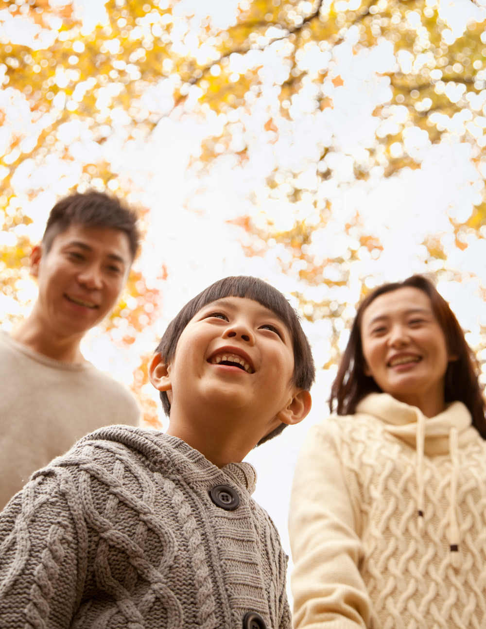 Case Management Program — Domestic Abuse Project