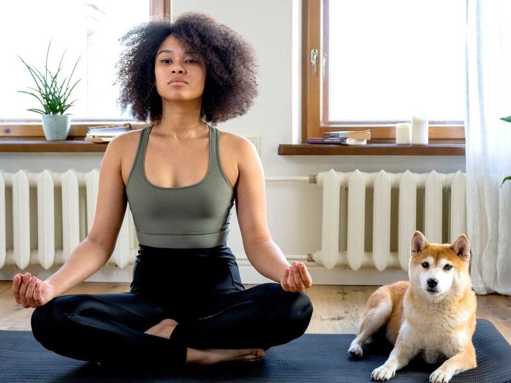 Doga: Dog Yoga And How To Practice With Your Dog — Sidekick by Finn