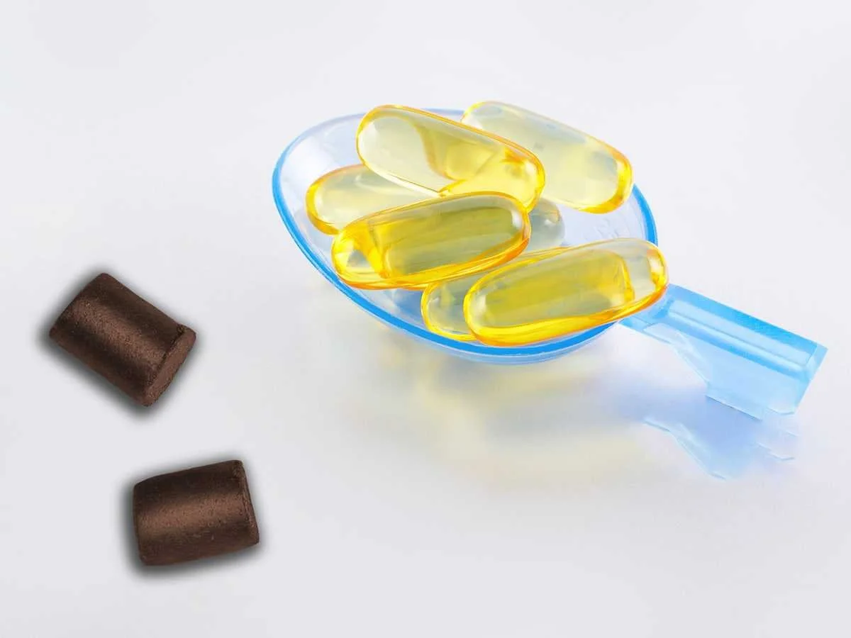 Fat Dog: How To Tell If Your Dog Is Out of Shape — Sidekick by Finn