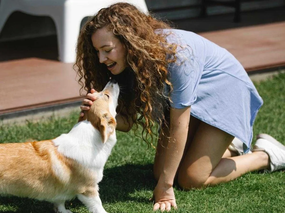 Why Do Dogs Lick You & Lick Other People? — Sidekick by Finn