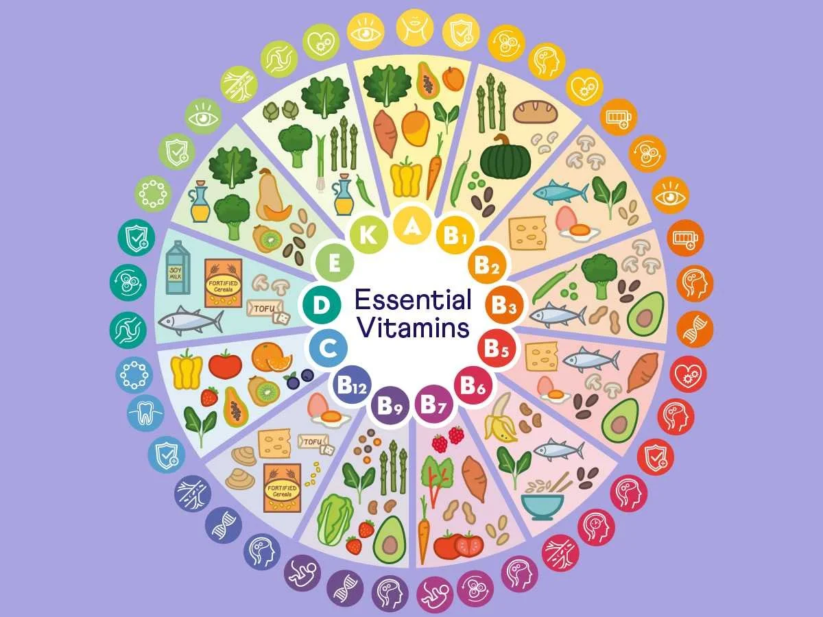 Dog Vitamins: The Ultimate Guide On Vitamins For Your Dog — Sidekick by ...