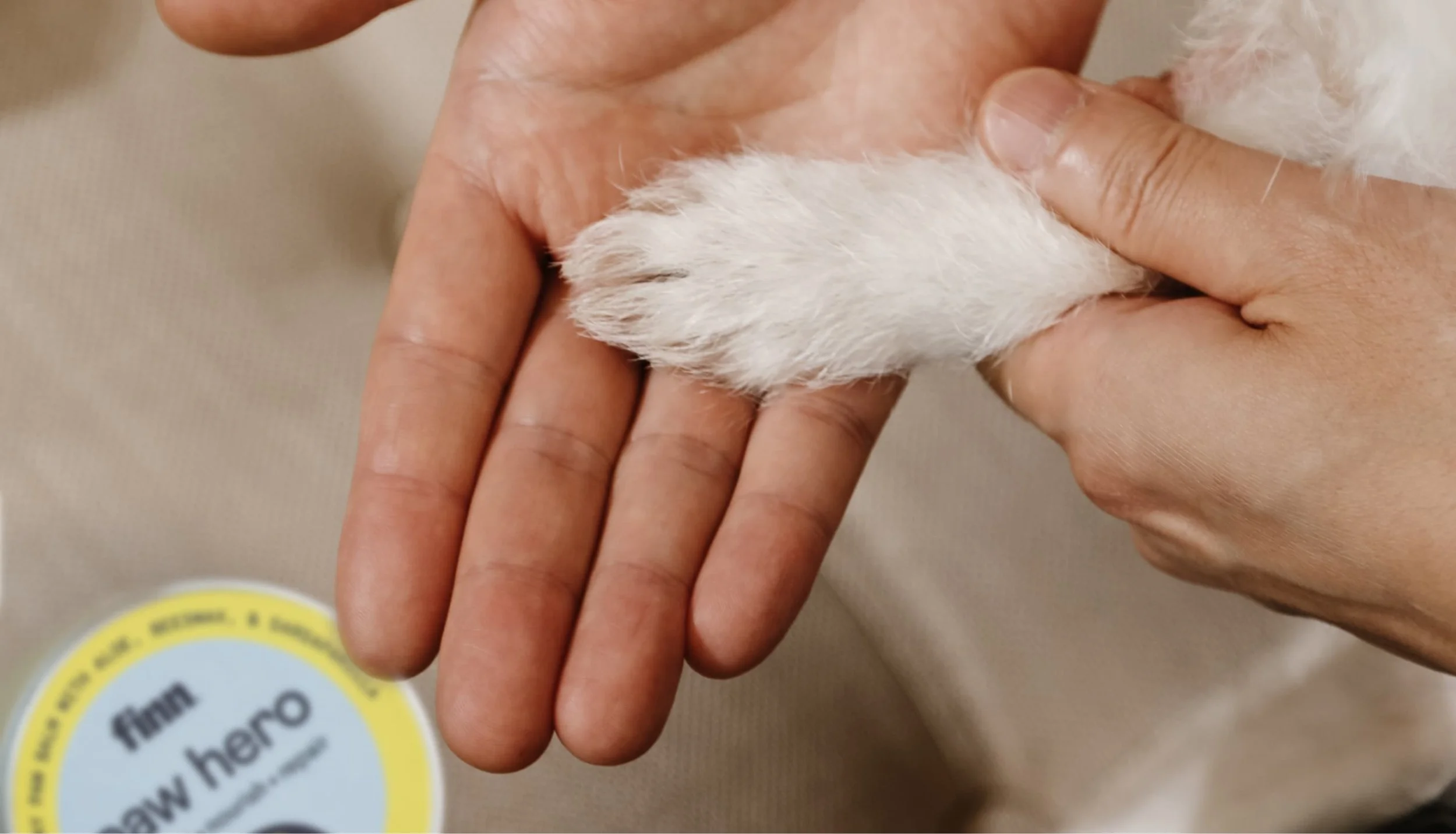 The magic of Paw Hero and its miraculous ingredients — Sidekick by Finn