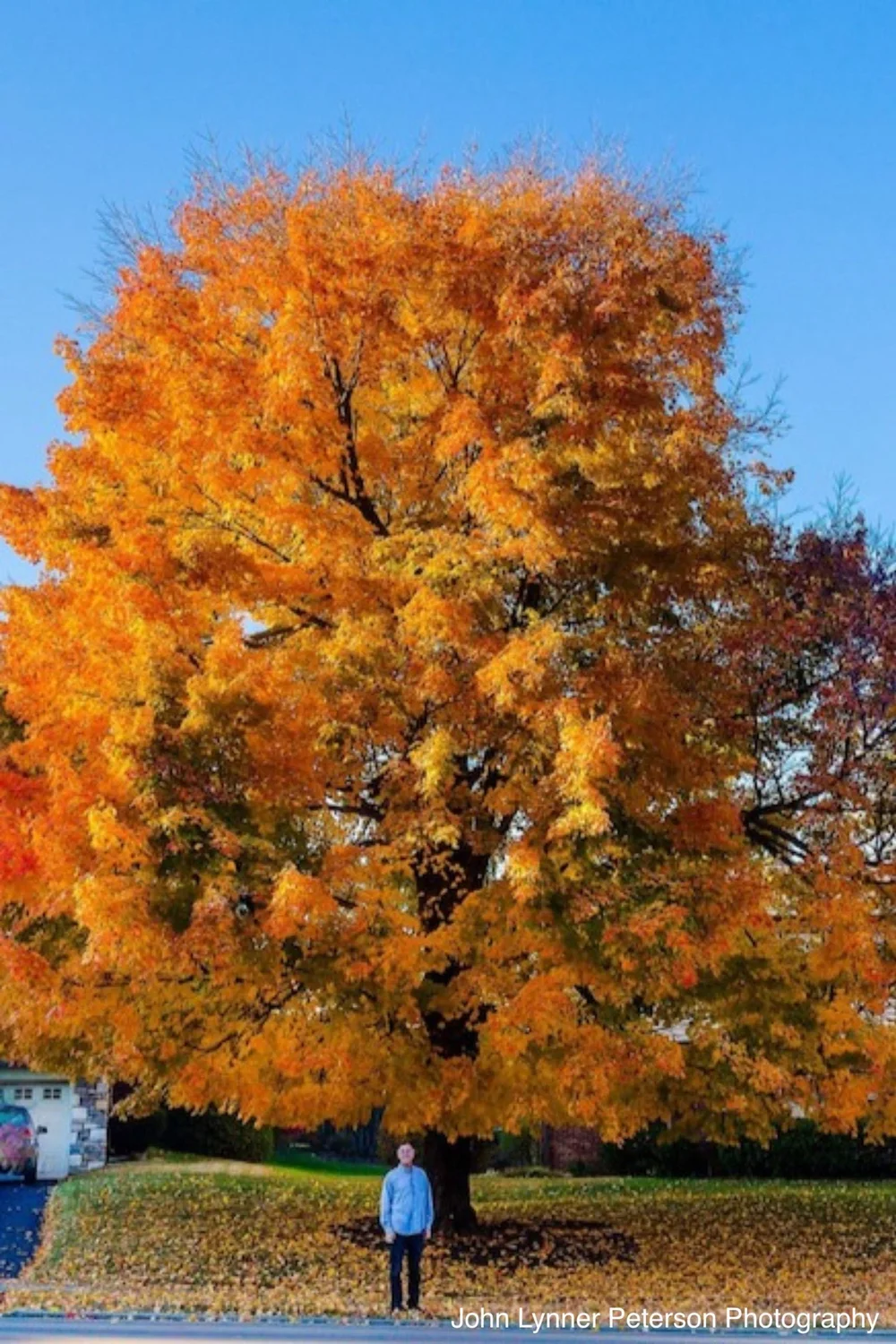 The Parable of the Flag Poles — David A. Shirey