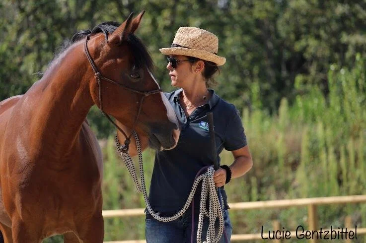 Cécile de Vrégille — Stage d'Equitation Ethologique