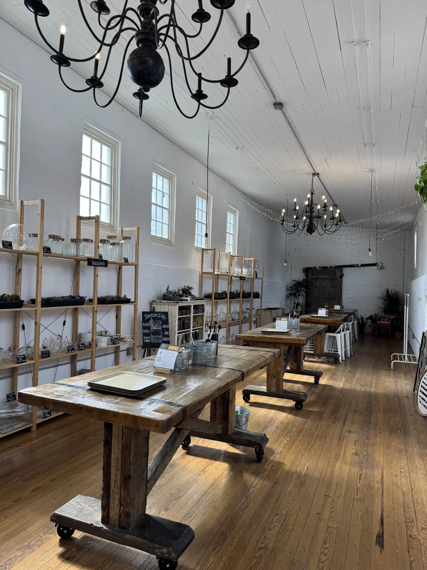 RSVP 2 — Gallery Grow Plant Bar