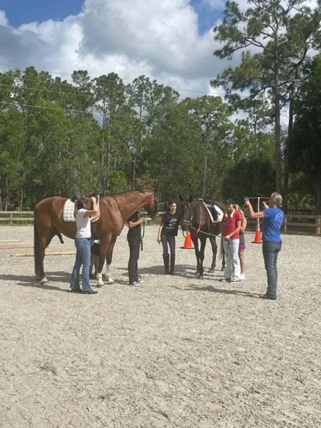 Unbridled Paths - Equine Assisted Therapeutic Riding | Path Certified ...