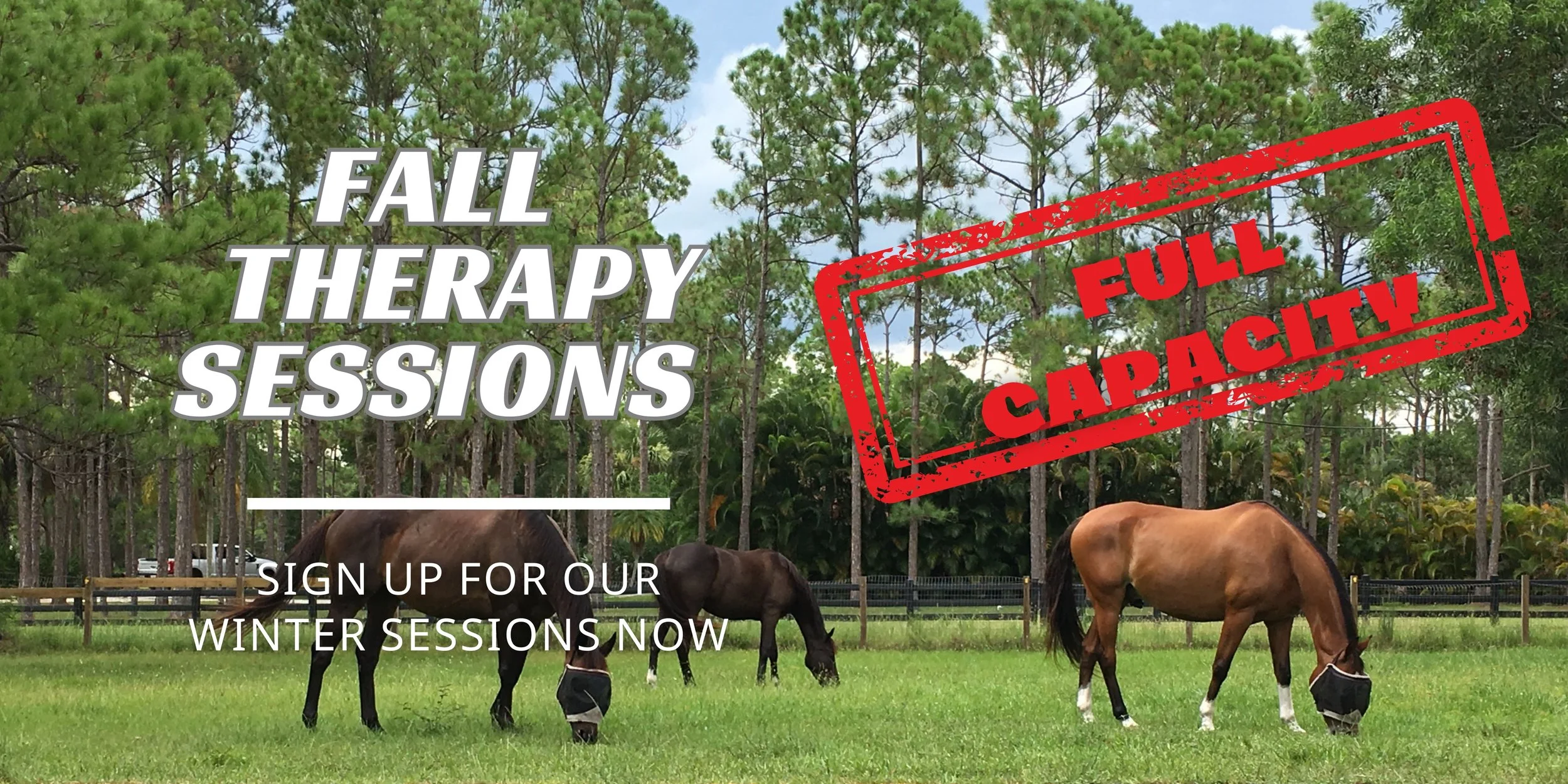 Unbridled Paths - Equine Assisted Therapeutic Riding | Path Certified ...