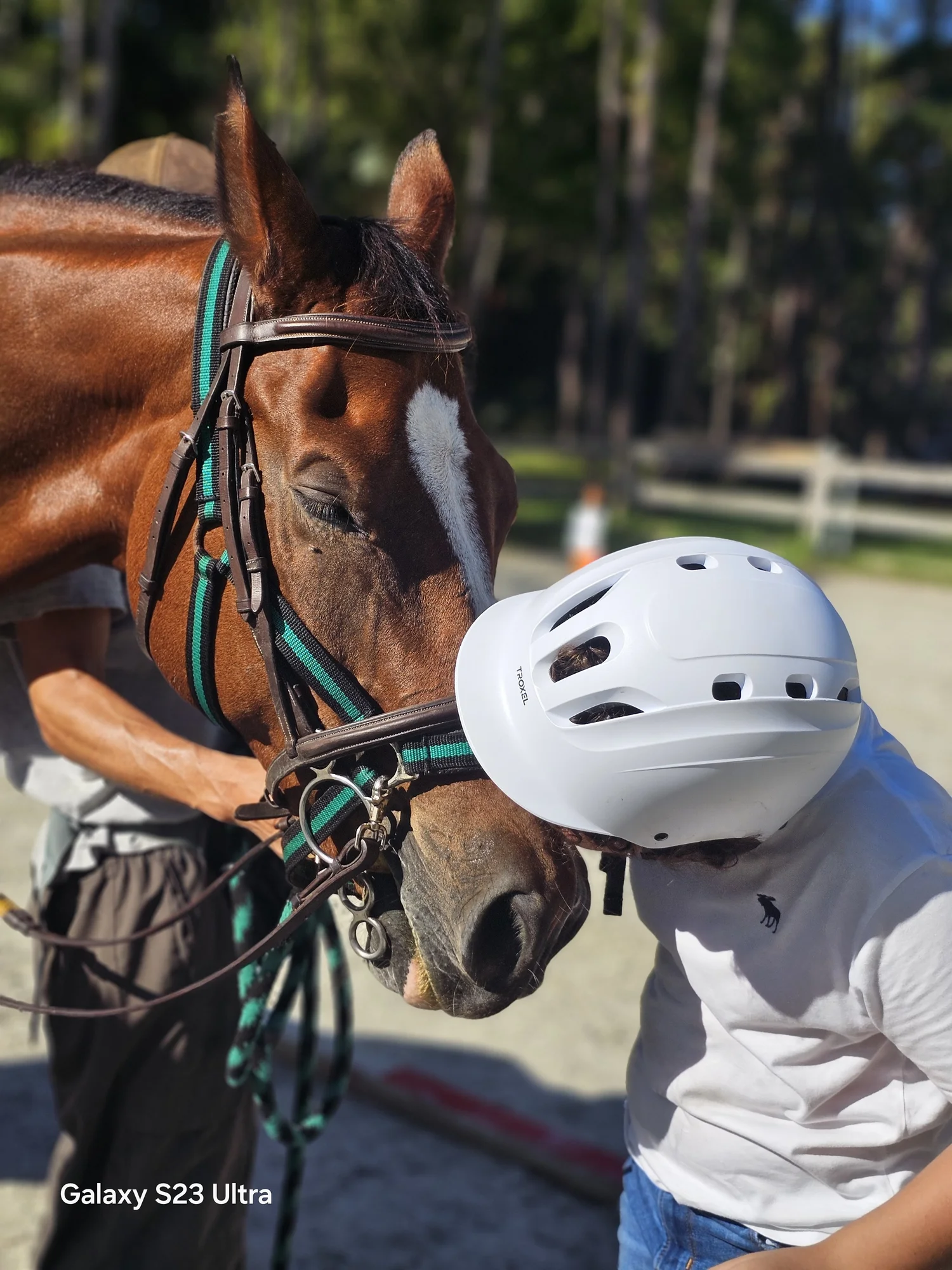 Unbridled Paths - Equine Assisted Therapeutic Riding | Path Certified ...