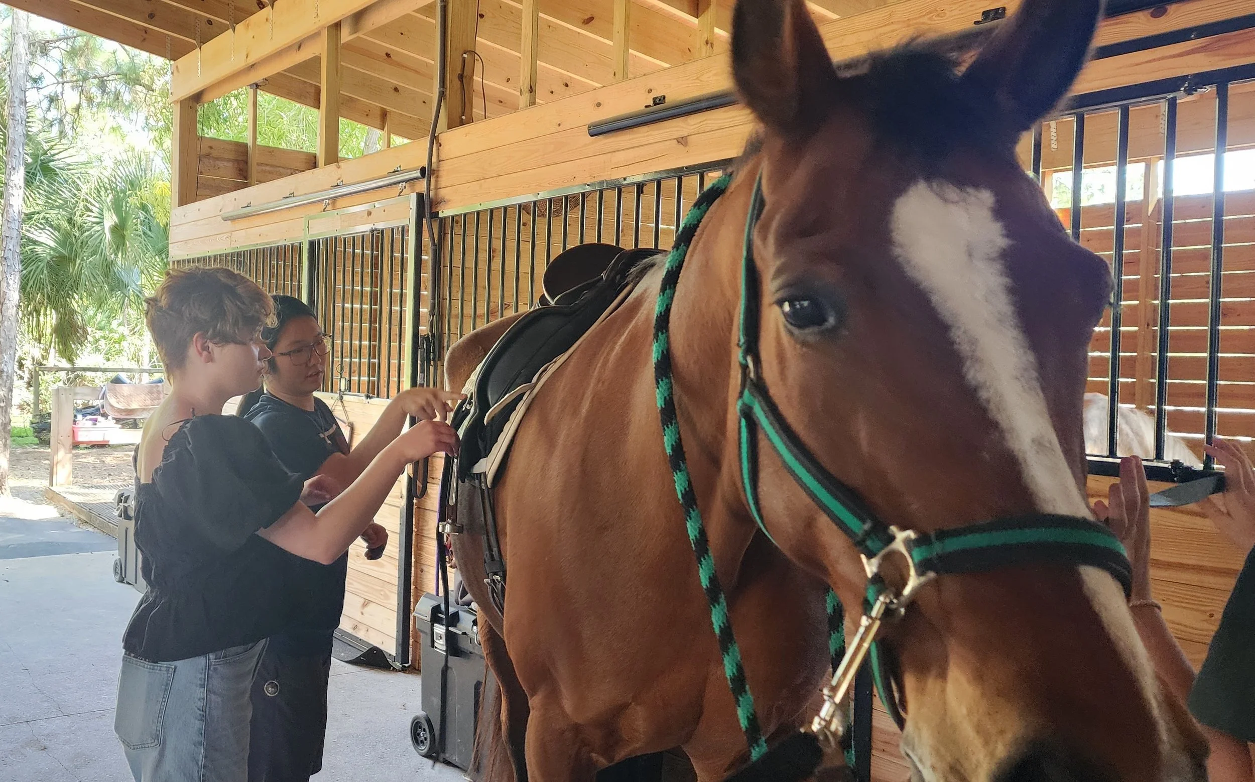 Unbridled Paths - Equine Assisted Therapeutic Riding | Path Certified ...
