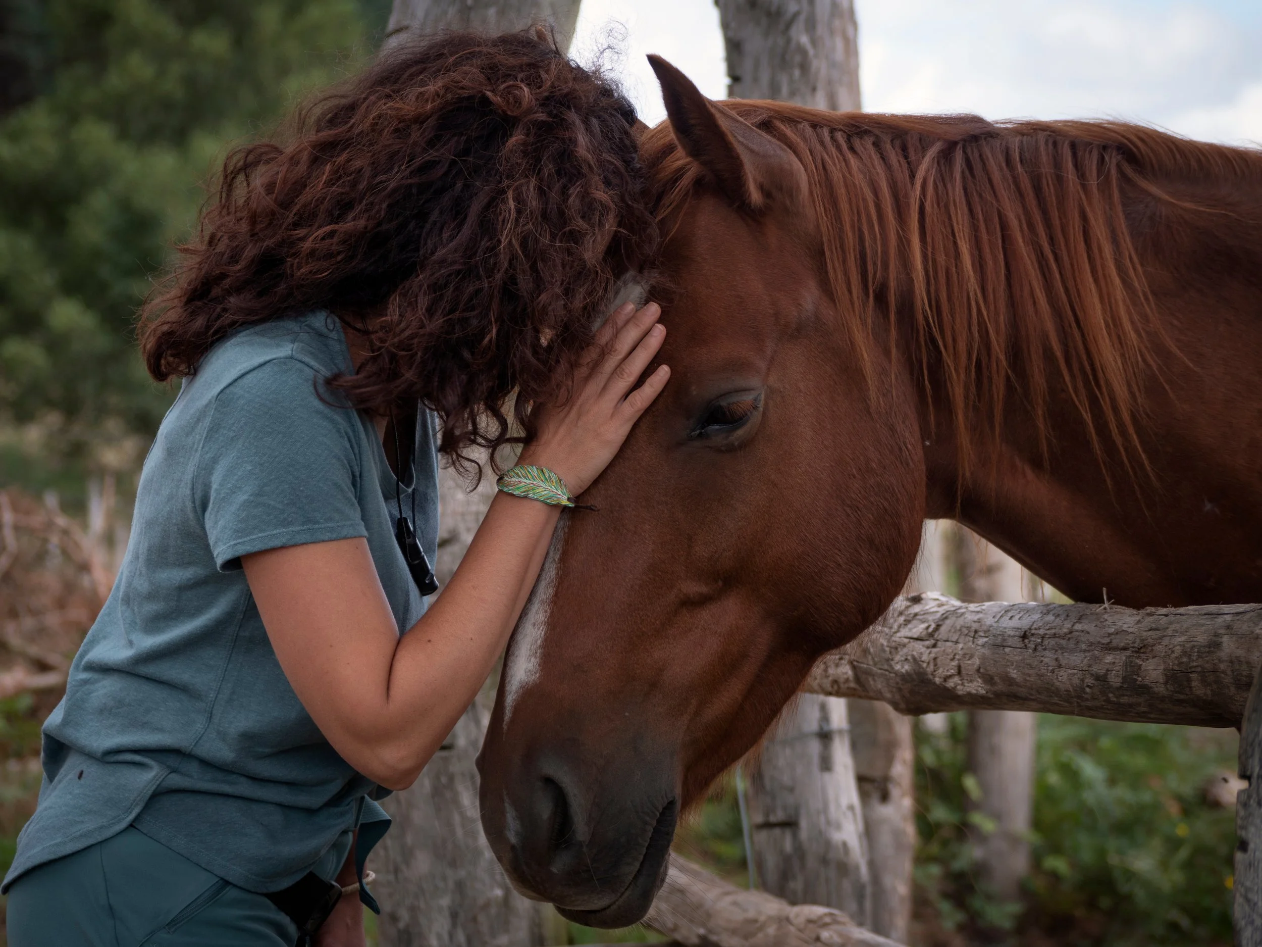 Unbridled Paths - Equine Assisted Therapeutic Riding | Path Certified ...