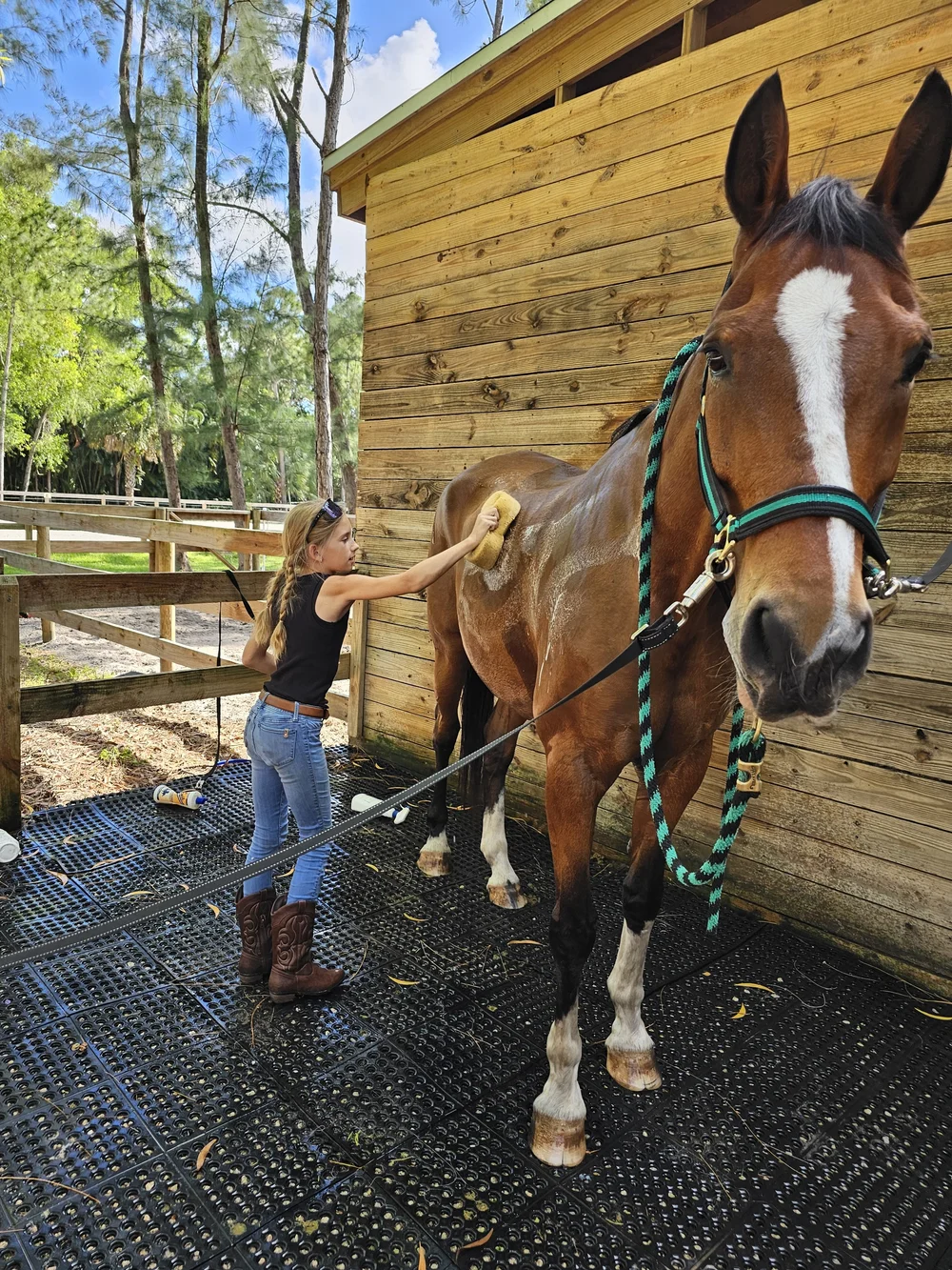 Unbridled Paths - Equine Assisted Therapeutic Riding | Path Certified Therapeutic Riding ...
