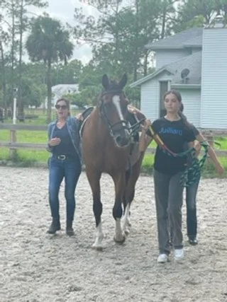 Unbridled Paths - Equine Assisted Therapeutic Riding | Path Certified ...
