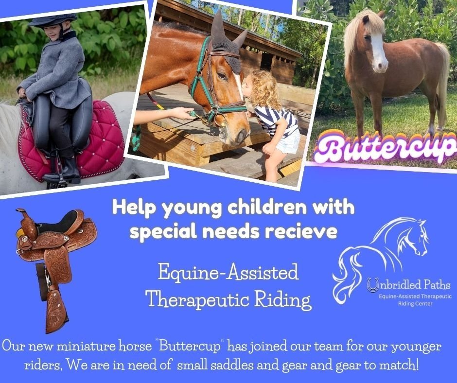 Unbridled Paths - Equine Assisted Therapeutic Riding | Path Certified ...
