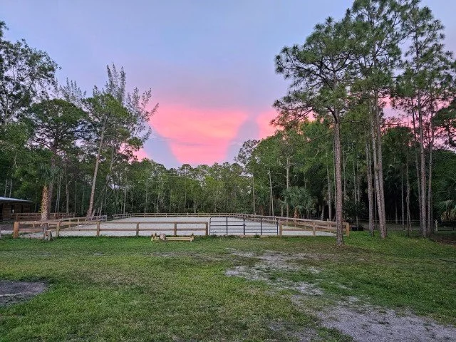 Unbridled Paths - Equine Assisted Therapeutic Riding | Path Certified ...