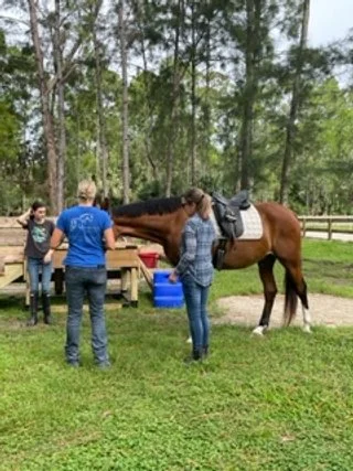 Unbridled Paths - Equine Assisted Therapeutic Riding | Path Certified ...