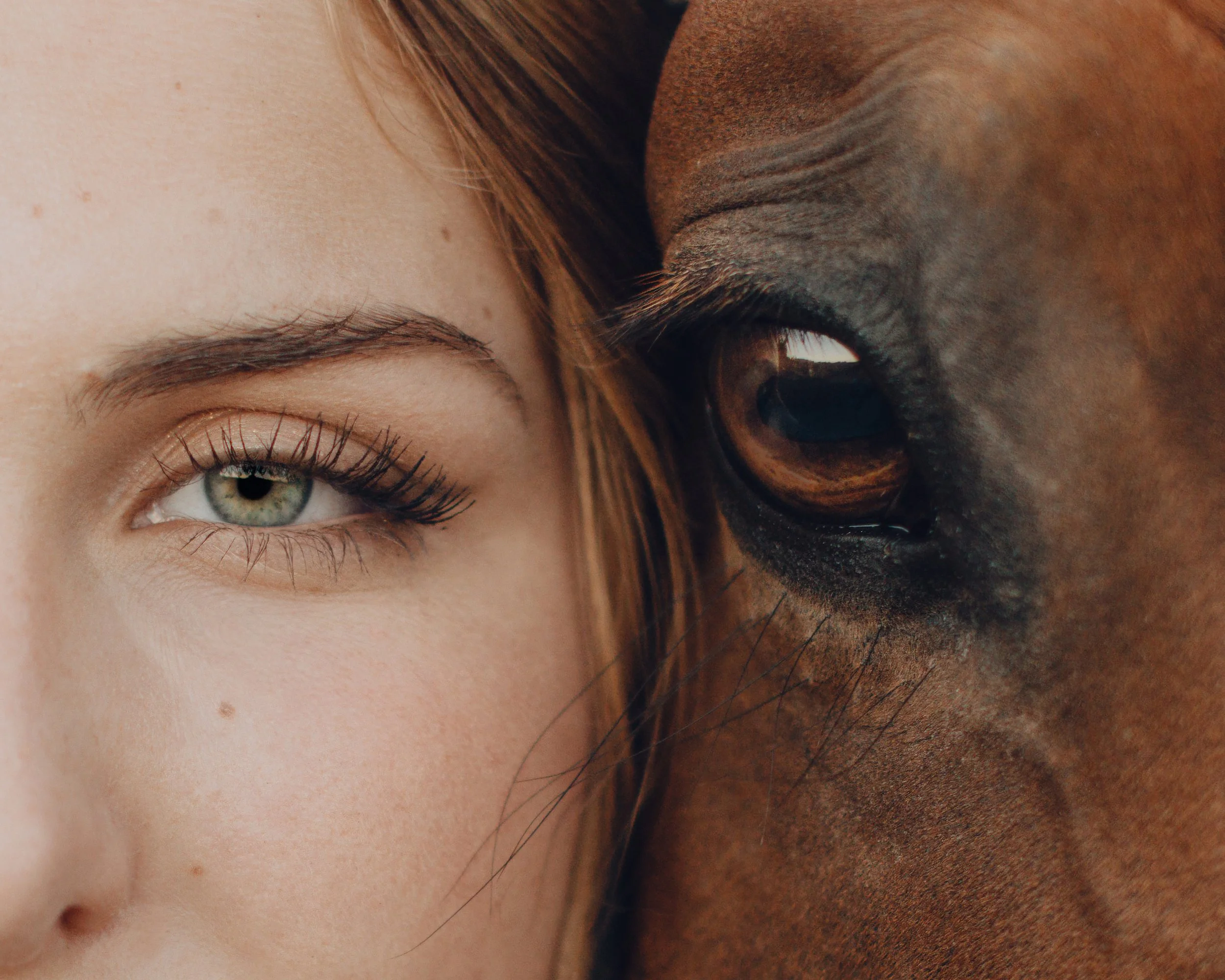 Contemporary Equestrian Photography — Tais.Photo